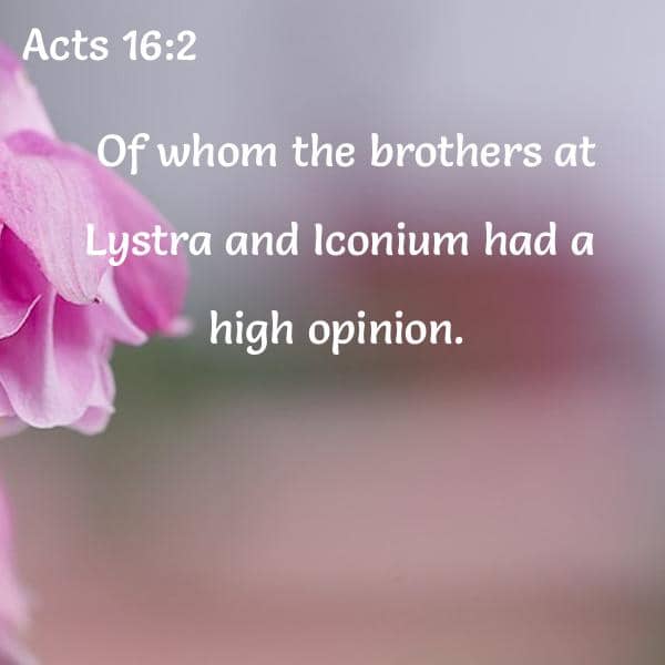 Acts 16 Bible Verses