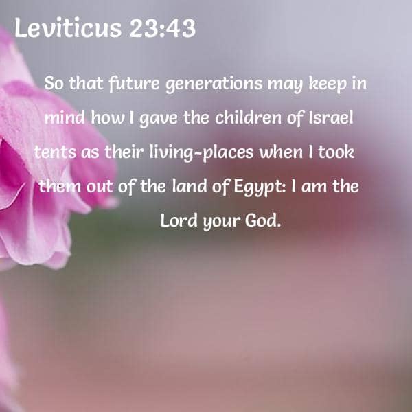 Generation To Generation Bible Verse