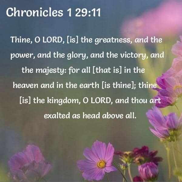 Bible Verses About Majesty - 28 passages - King James Version (KJV)