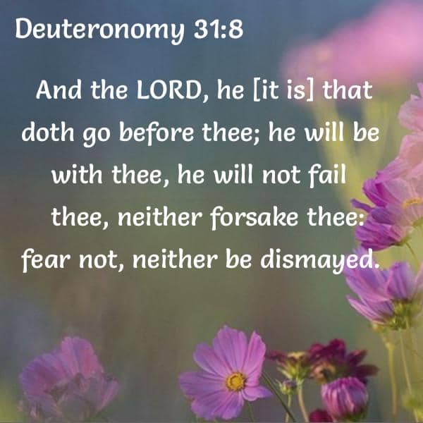 Bible Verses About Dismayed - 29 passages - King James Version (KJV)