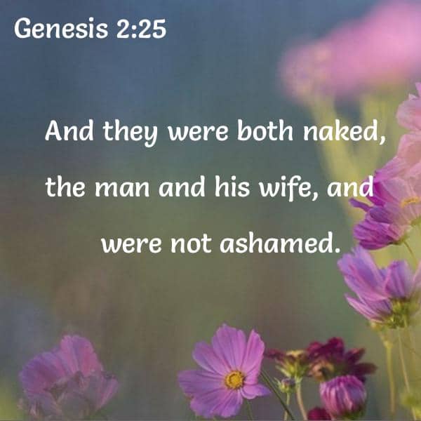 Bible Verses About Ashamed - 111 passages - King James Version (KJV)