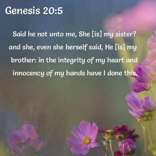 Bible Verses About Integrity - 16 passages - King James Version (KJV)