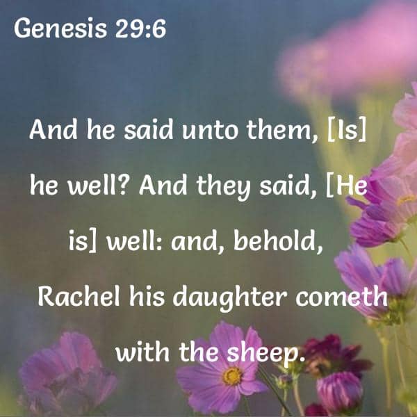 Bible Verses About Rachel - 39 passages - King James Version (KJV)