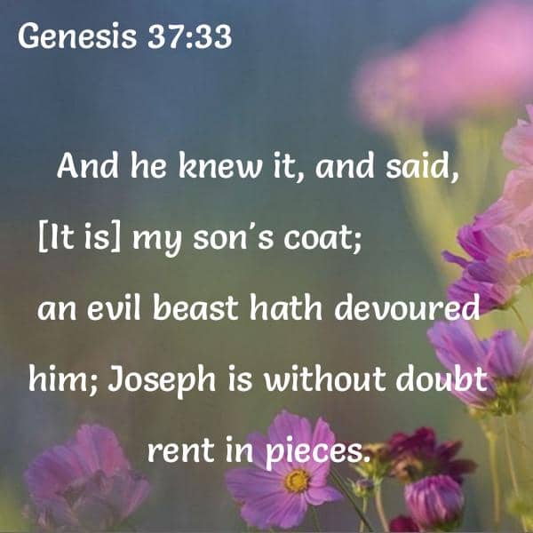 Bible Verses About Doubt - 13 passages - King James Version (KJV)