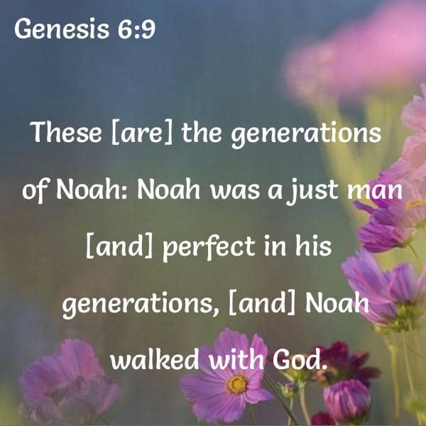 Bible Verses About Perfect - 94 passages - King James Version (KJV)