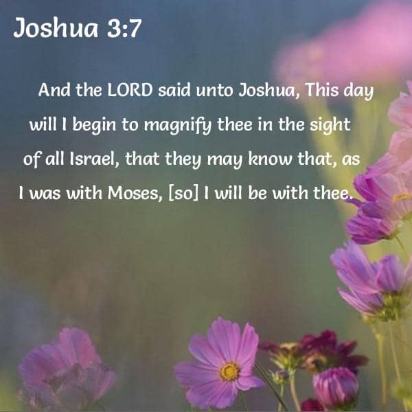 Bible Verses About Magnify - 19 passages - King James Version (KJV)