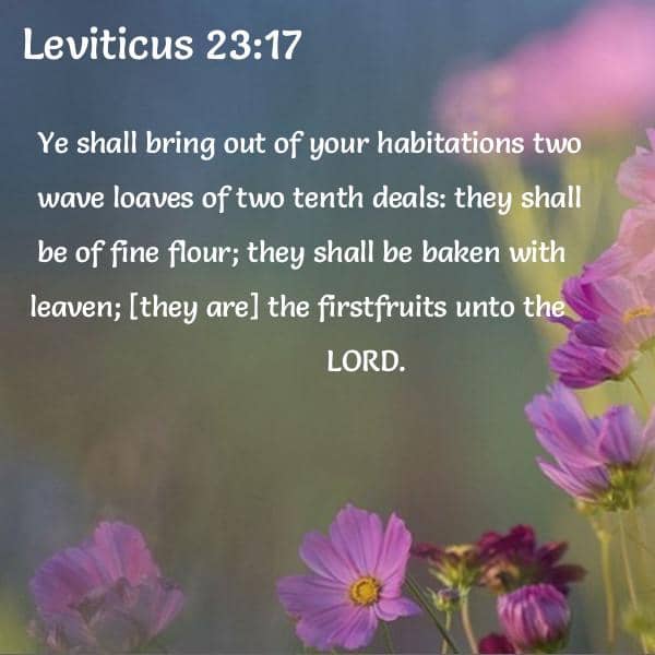 Bible Verses December 31 2024 – The Unity Church Blog