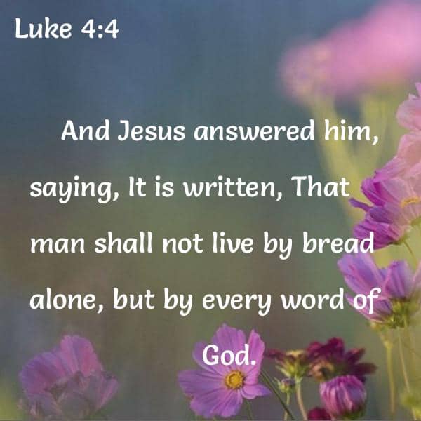 Daily Scripture Bible Verse Of The Day King James Bible kjv Daily Scripture Bible Verse Of The Day King James Bible kjv